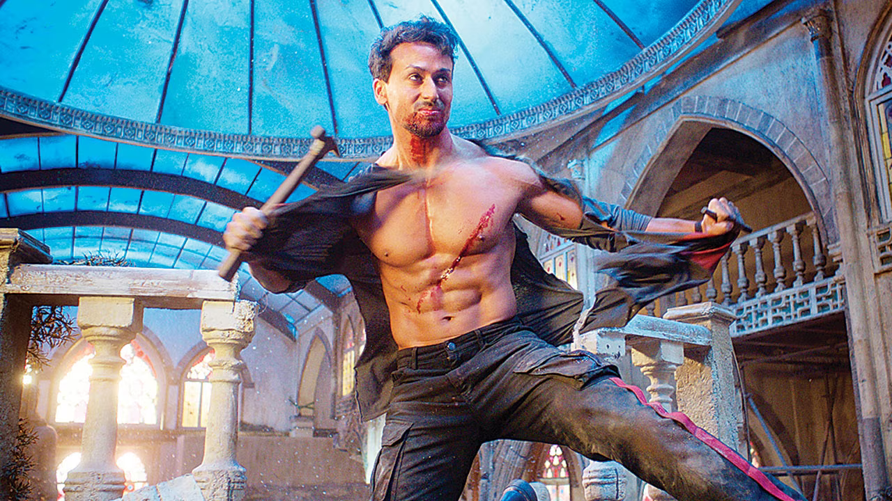 Bollywood's Most-Watched Fight Scenes: Animal, Jawan And More