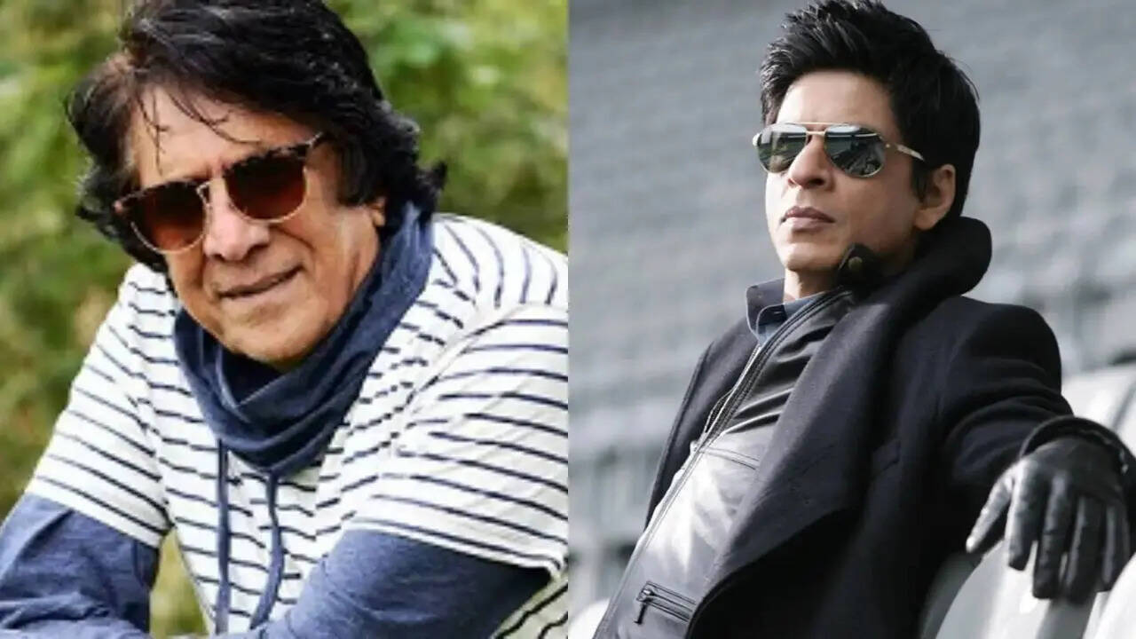 When Shah Rukh Khan Intended to 'Revive' Don with Original Director ...
