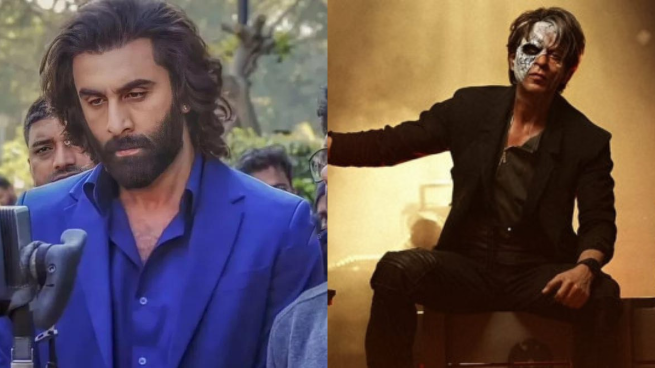 Bollywood's Most-Watched Fight Scenes: Animal, Jawan And More