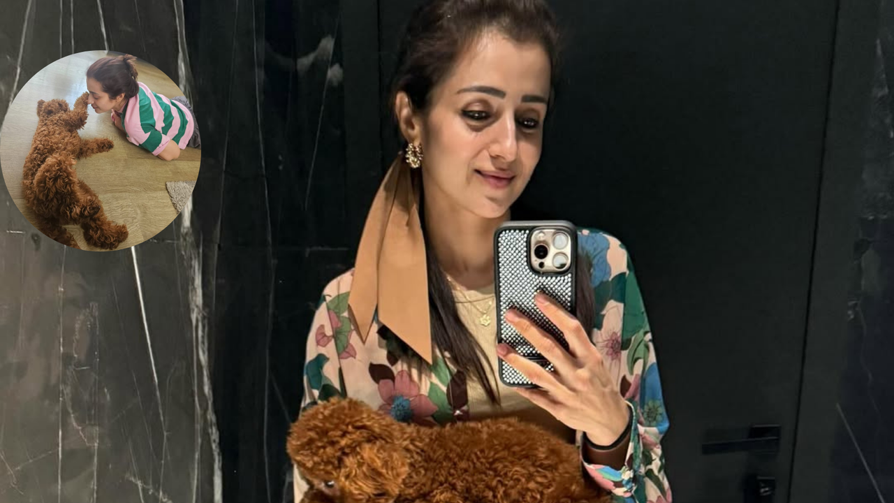 Trisha Krishnan Reveals 10 ‘Little Moments’ That Create ‘Huge Smiles’: Featuring Noodles ...