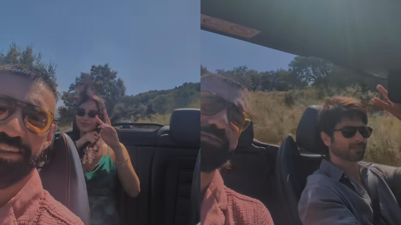 Shahid Kapoor, Triptii Dimri, and Avinash Tiwary Take a Drive, Fans Comment 'Laila, Majnu, and ...