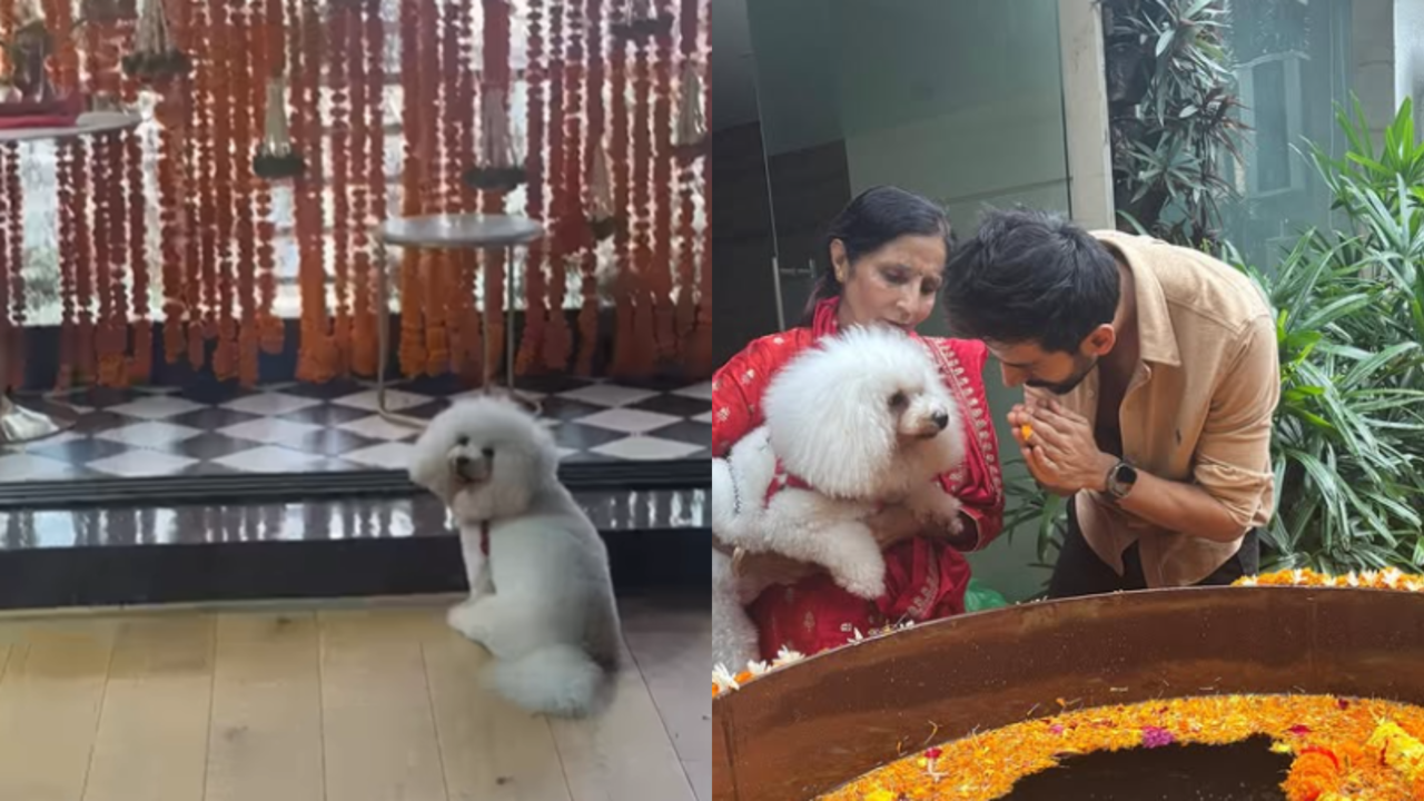 Kartik Aaryan's pet Katori gazes mournfully at the vacant temple ...