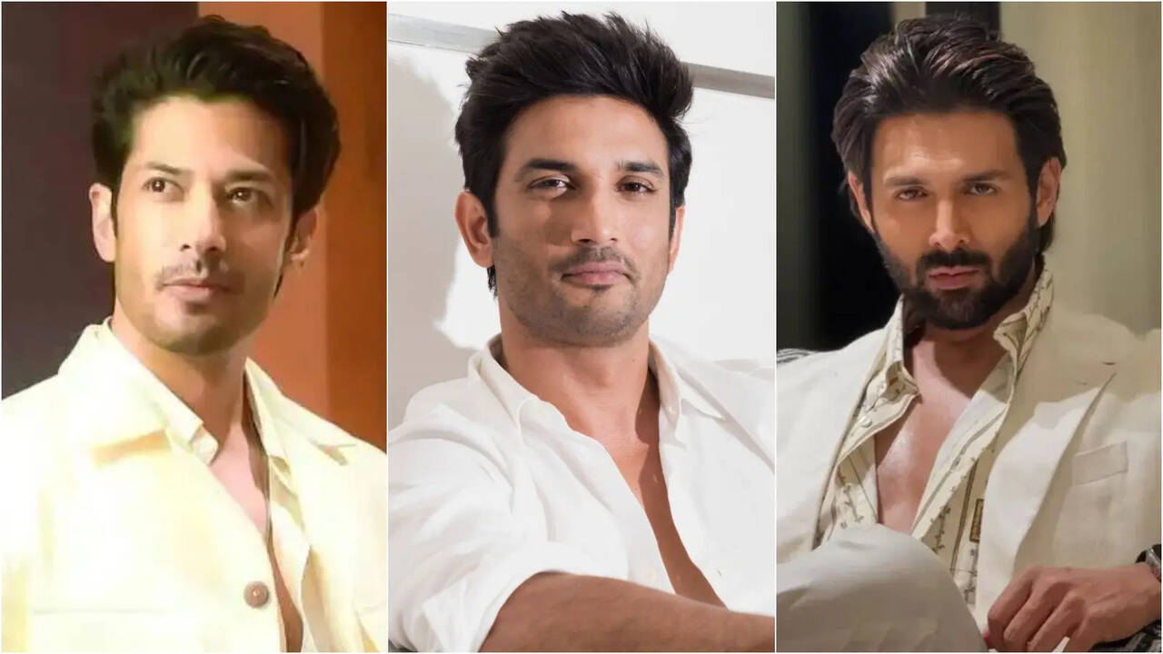 Muzammil Ibrahim Accuses Bollywood of Undermining Outsiders: Observed the Struggles of Kartik ...