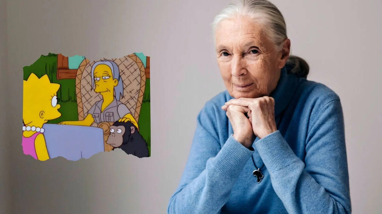 Jane Goodall and The Simpsons: A Link Grounded in Satire and Tribute | Zoom TV