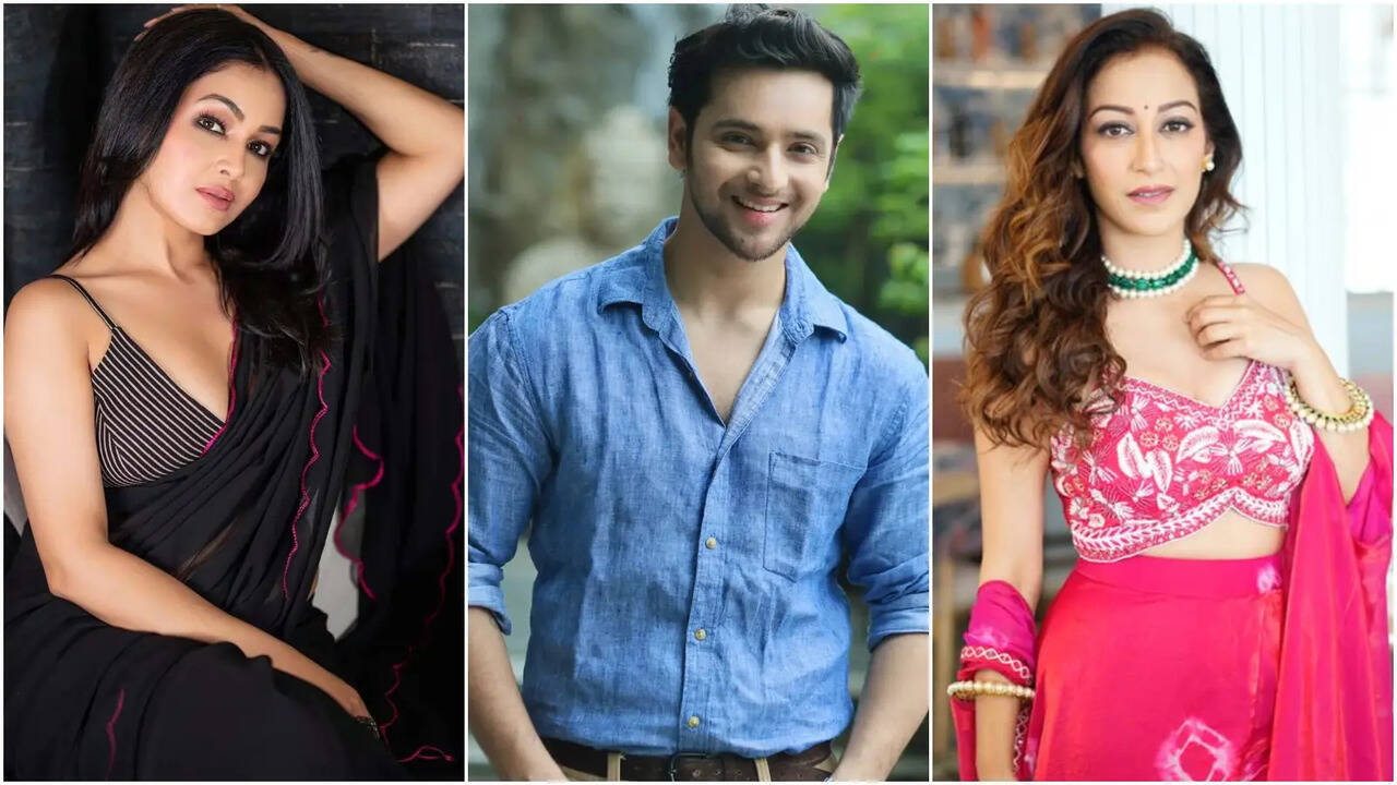 World Television Day 2025: Actors Discuss the Influence of TV - Emphasizing Fairness, Broader ...