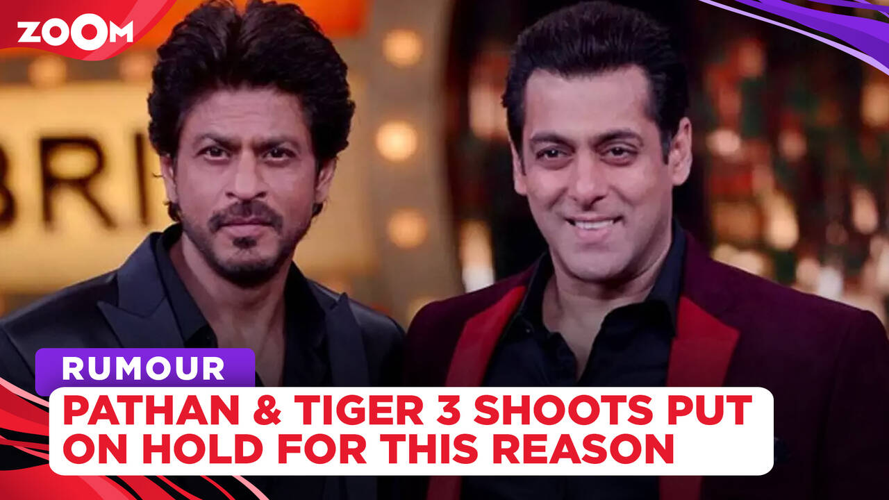 Shah Rukh Khan's Pathan & Salman Khan's Tiger 3 shooting put on hold for THIS reason, Videos ...