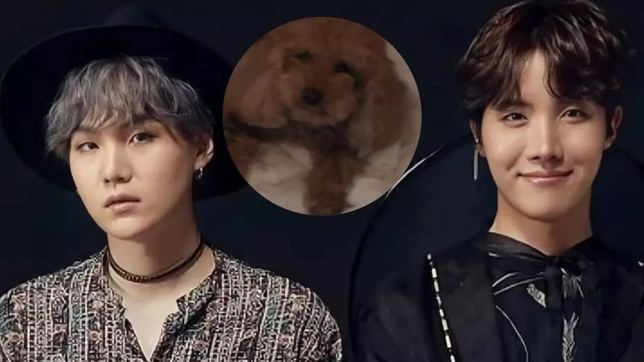 Suga's blurry but super cute photo of his pet pooch Holly gives BTS's J ...