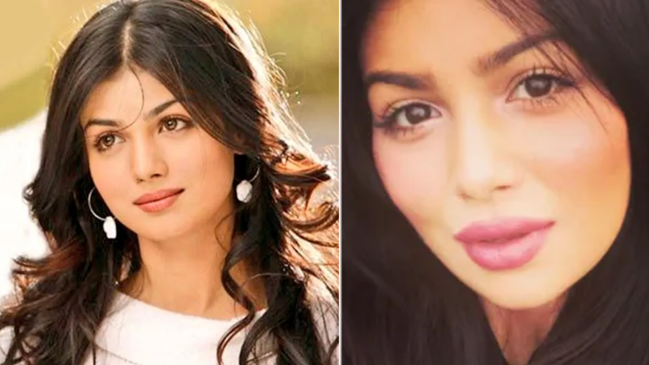 Ayesha Takia birthday: These then vs now photos of the Wanted actress ...