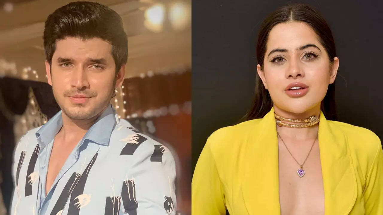 Paras Kalnawat finally reacts to ex-GF Urfi Javed's accusations of ...