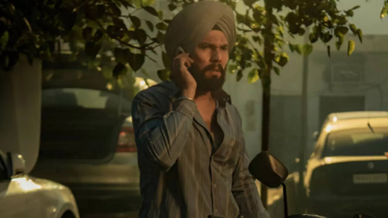 Cat Web Series Review: randeep Hooda starrer has a solid set up in a ...